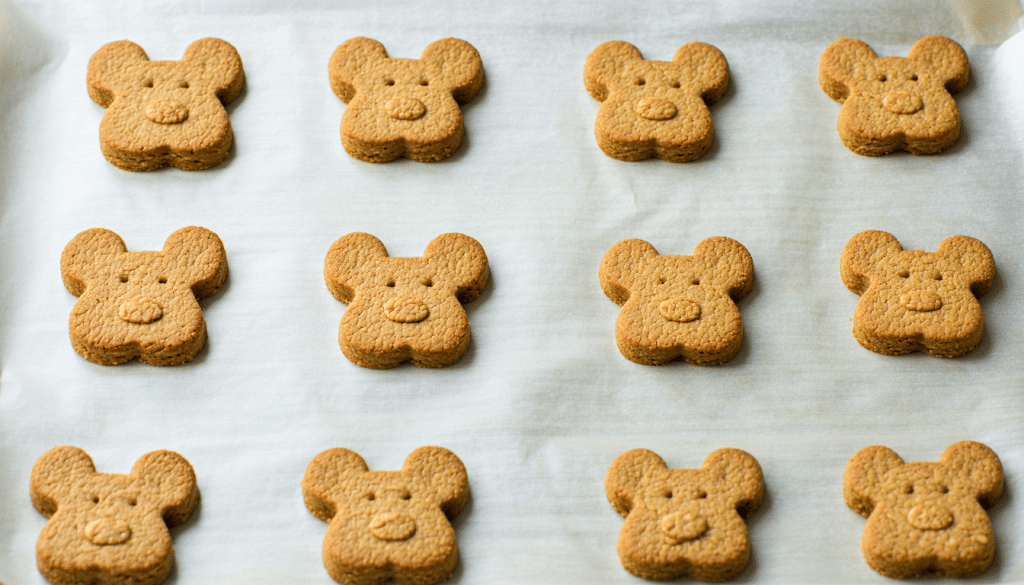 Recette biscuit pour chien : savoureux snacks maison aux flocons d ...
